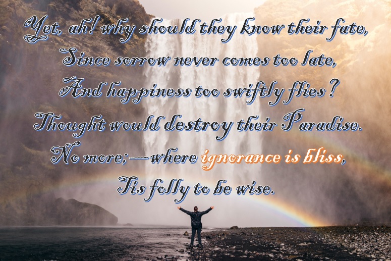 Meaning Of Bliss English Words English Vocabulary Words