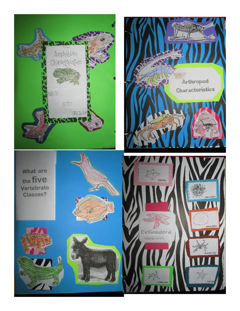 Loving Life Lapbooks