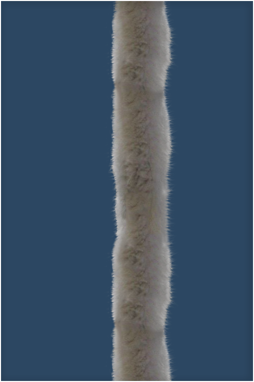 the long cat is long ... - CSND - Comunidad sin nombre ... en Taringa!