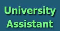 University Assistant Examination
