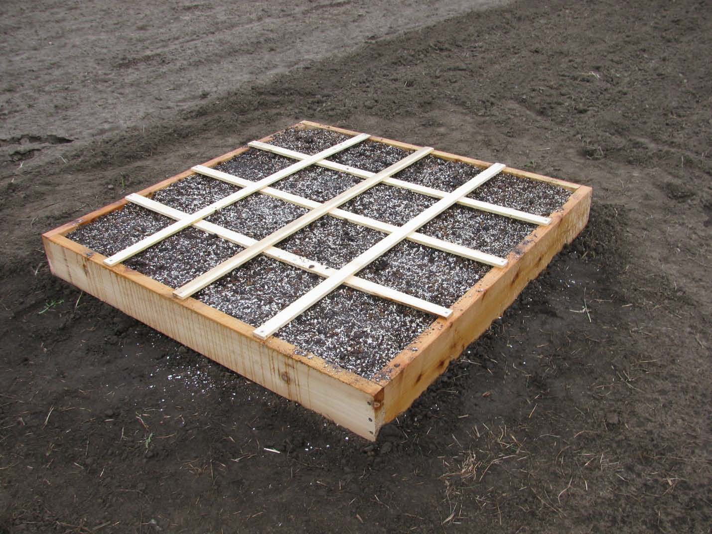 Safely Gathered In: Gardening Series: Square foot gardening with Emily ...