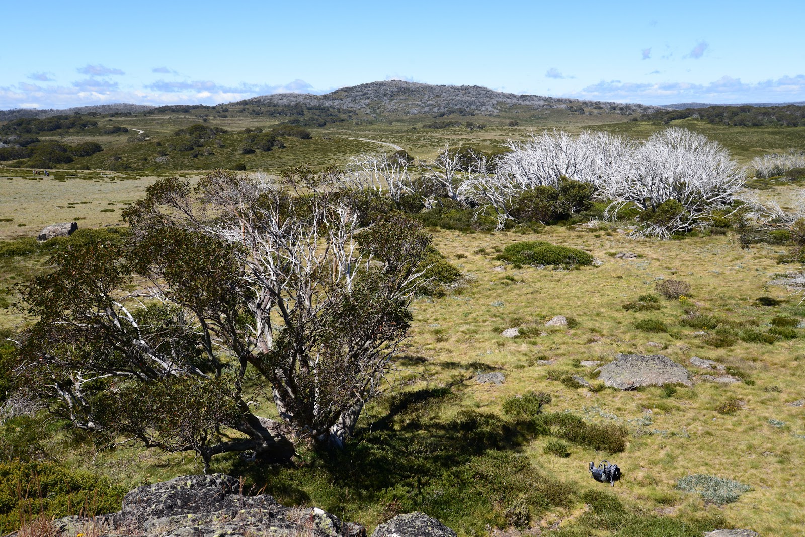 walkabouters club of victoria inc: Lay Day