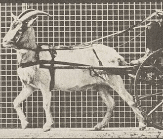 BreinWekker: juni 2018