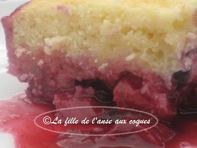 La fille de l'anse aux coques: POUDING AUX FRAISES ET AUX BLEUETS