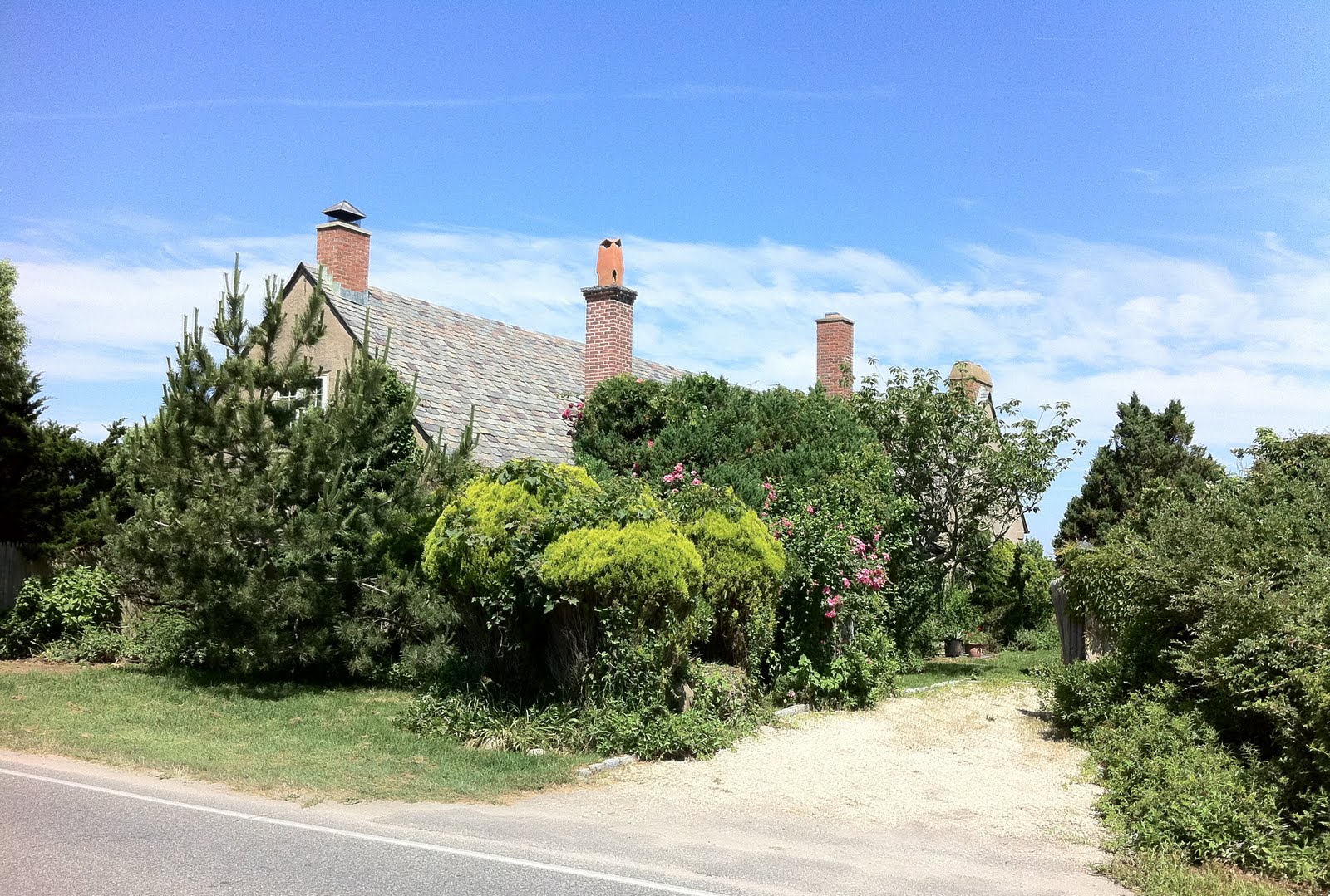 Bart Boehlert's Beautiful Things: Natural Southampton