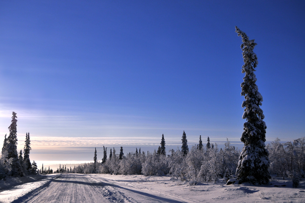 November 2015 ~ F I N S K A