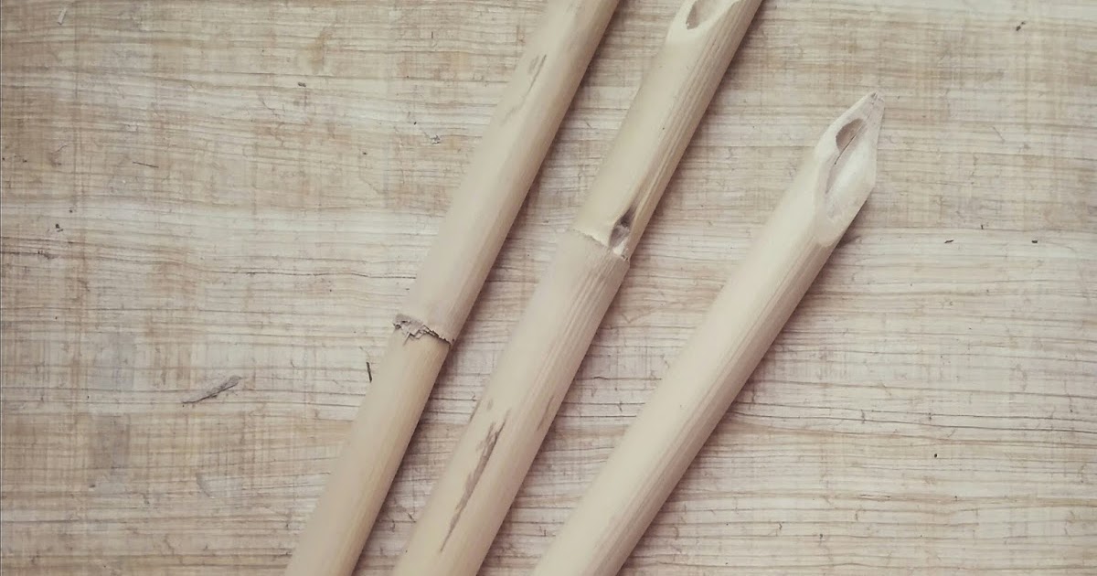 TU VIDA EN PAPIRO: ¿Qué es un Cálamo?