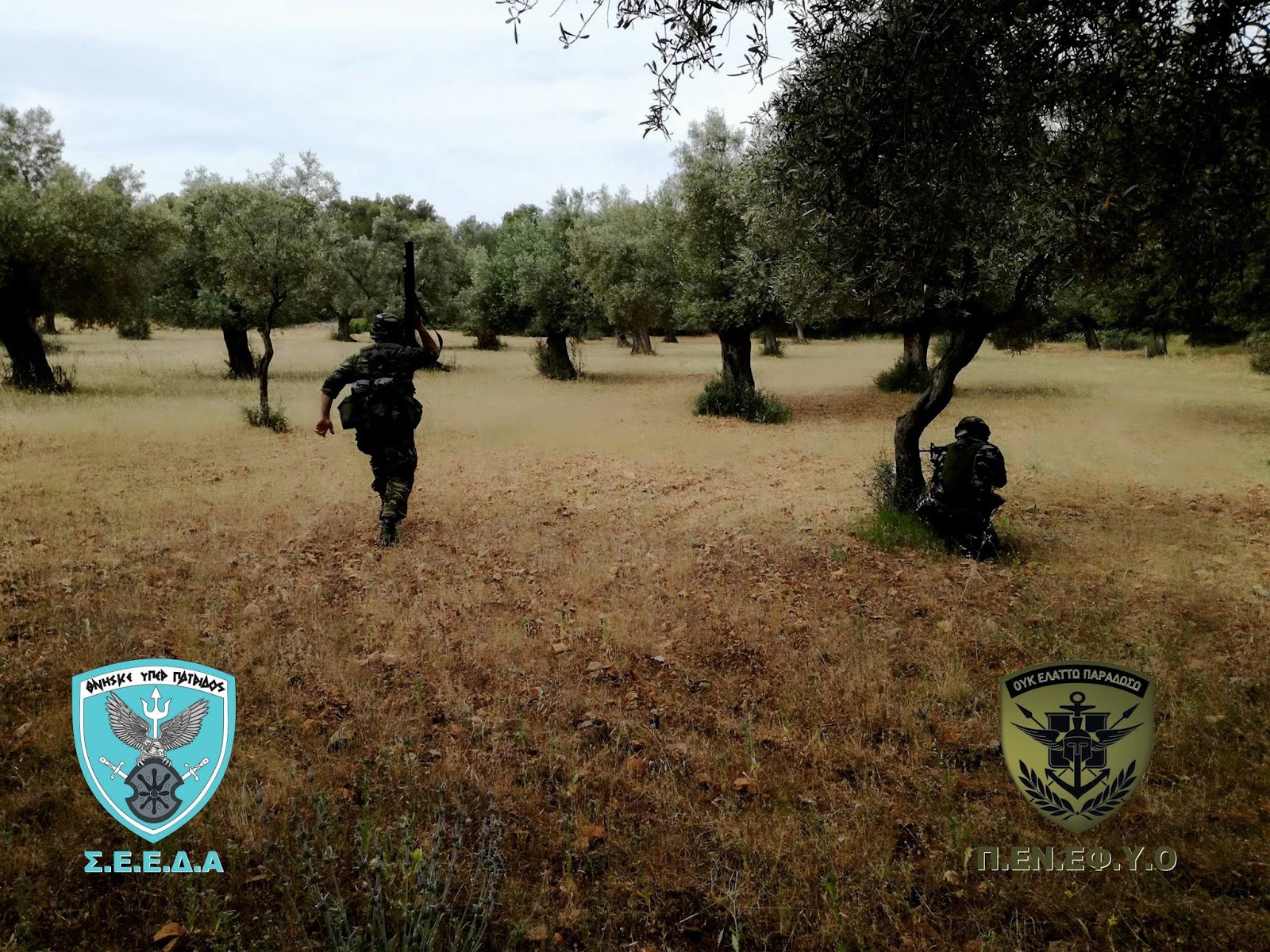 ΠΑΝΕΛΛΗΝΙΑ ΕΝΩΣΗ ΕΦΕΔΡΩΝ ΥΠΑΞΙΩΜΑΤΙΚΩΝ & ΟΠΛΙΤΩΝ (Π.ΕΝ.ΕΦ.Υ.Ο ...