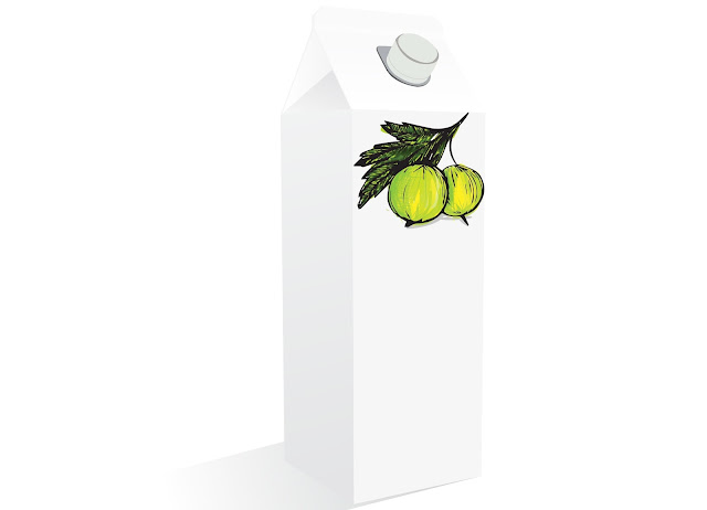 Hedy's Designs: Gooseberry Package design (when in doubt look around)