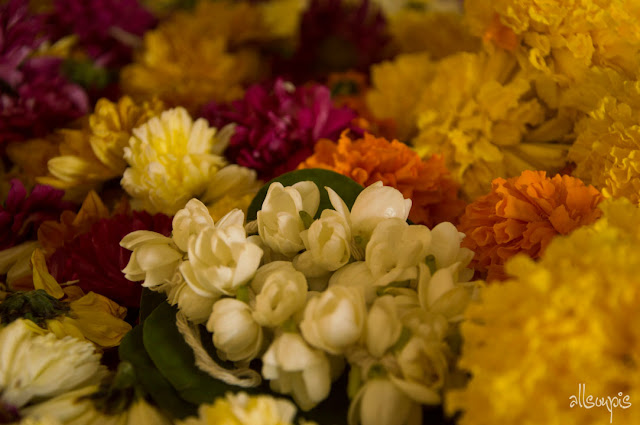 Deepavali 2016 : Part 1 | All Soupi's