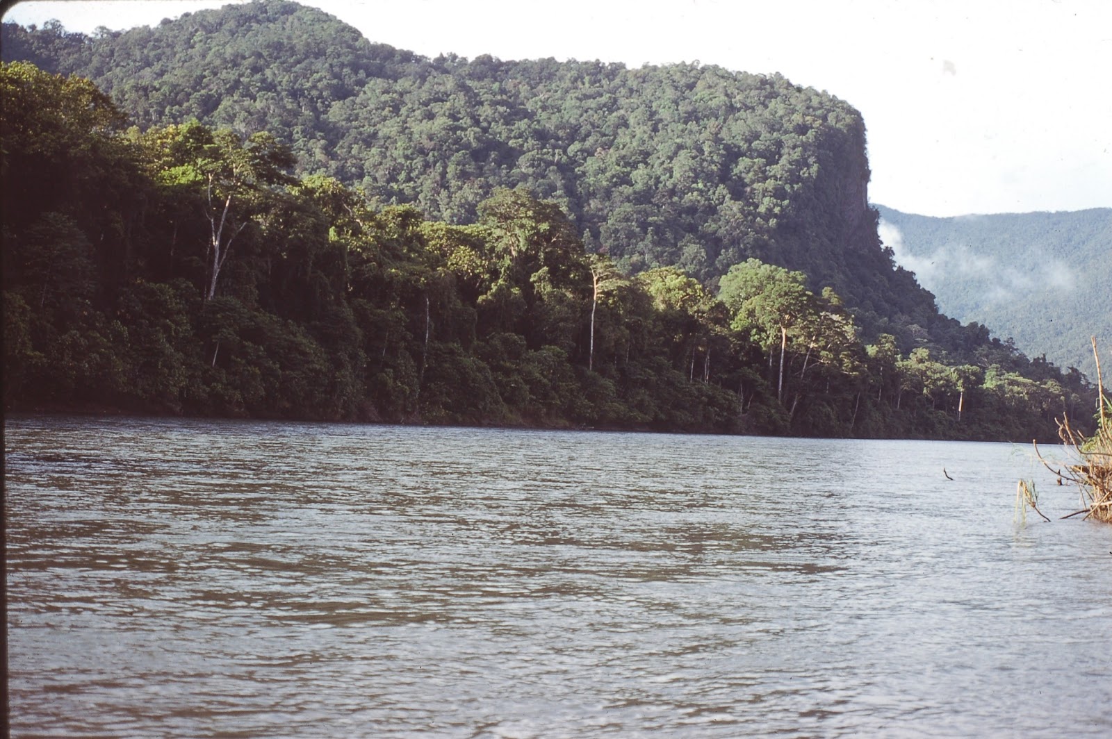 I Brake for Wildflowers!: Papua New Guinea 5. To the Frieda River