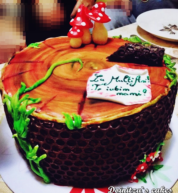 Tort Trunchi de copac cu ciupercute | Doinitza`s cakes
