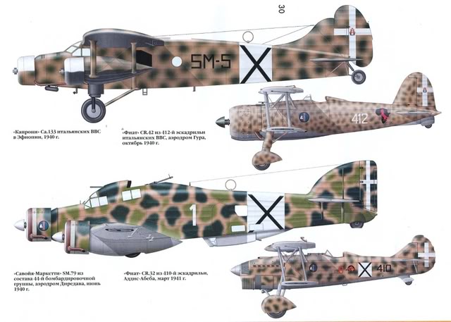 Italian Aircraft of WWII: The Italian Air Campaign in East Africa II