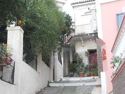 Seattle...Samos...Ambelos: Village Walk through- Lekka