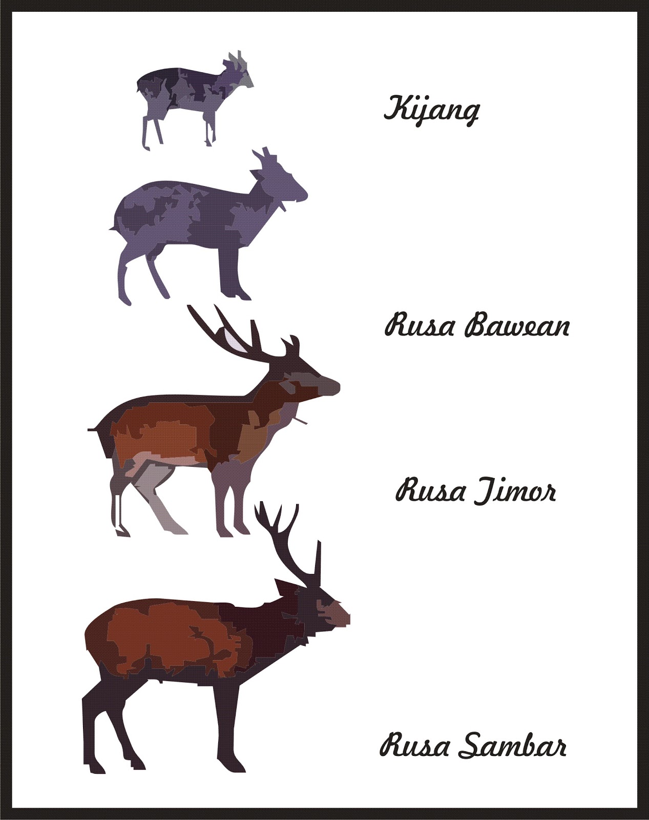 .: Rusa (Asli) Indonesia