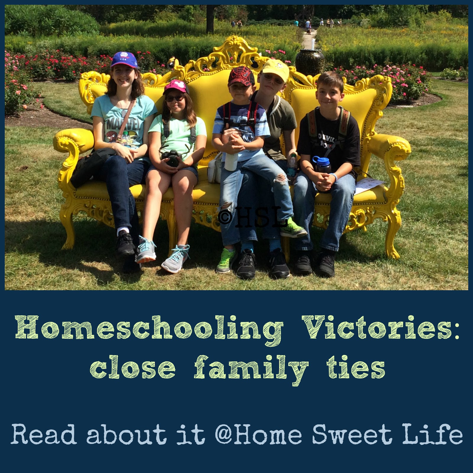 Home Sweet Life: Homeschooling Victories ~ family ties