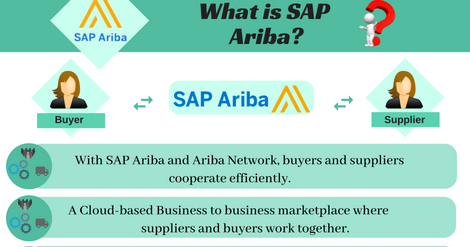 SAP Ariba Training Guide