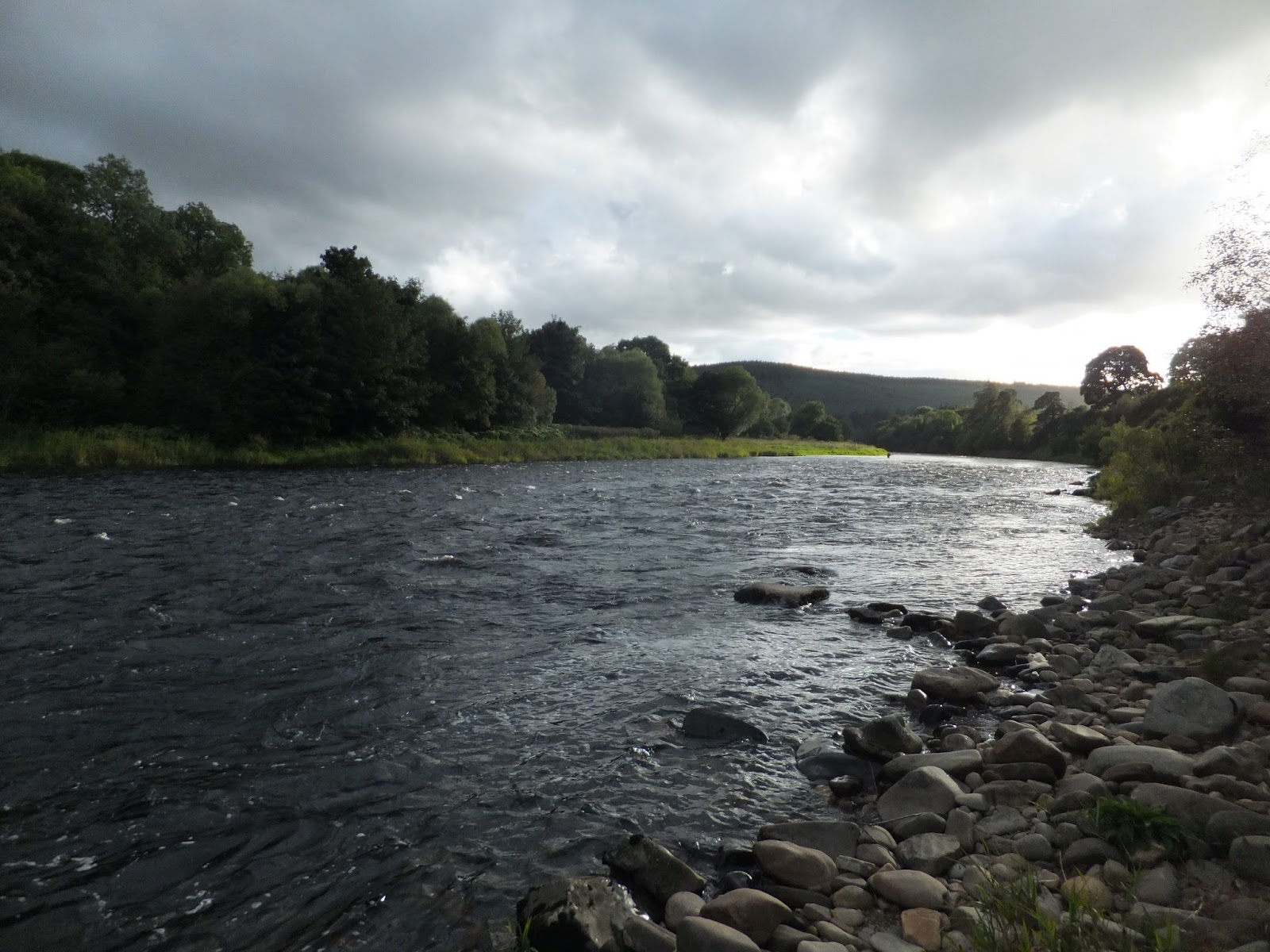 Dee & Don Salmon Fishing: Wester Elchies - River Spey