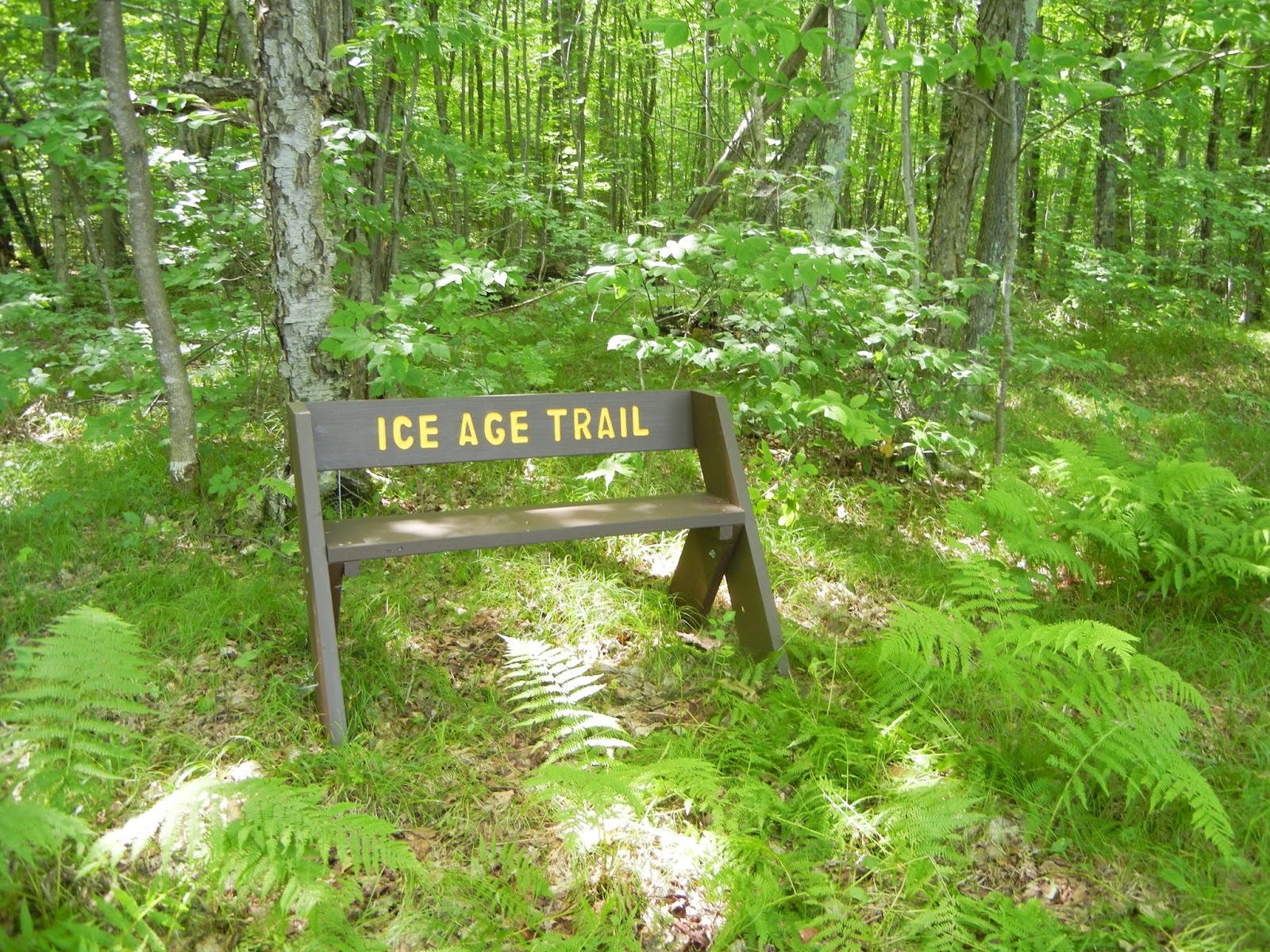 Hiking with Heather: Ice Age Trail: Turtle Rock Segment