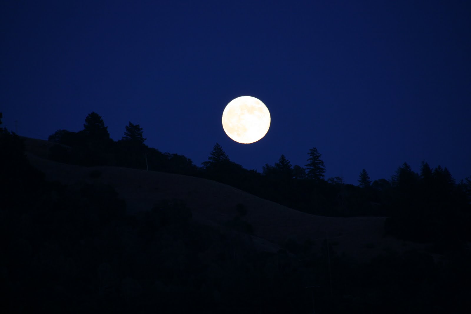 vignette design: August Full Moon in the Wine Country