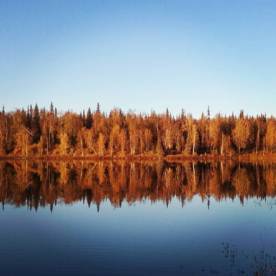 Life Through My Lens: Reflections on Carpenter Lake 🍁🍂