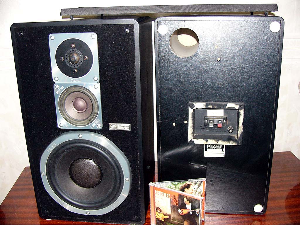 Magnat Pro 15 - мощная акустика серии All Ribbon в Московском магазине ...