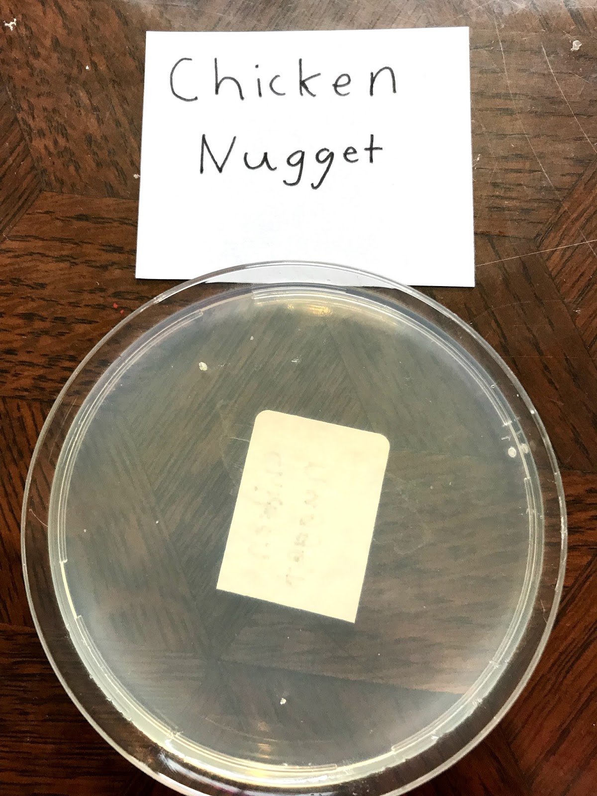 Welcome to the Krazy Kingdom: Taya's Science Project - "Does The 5 ...