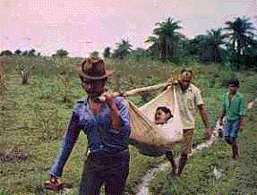 paseandote por el peru...y el mundo: El Mundo de los Dule:Capítulo II ...