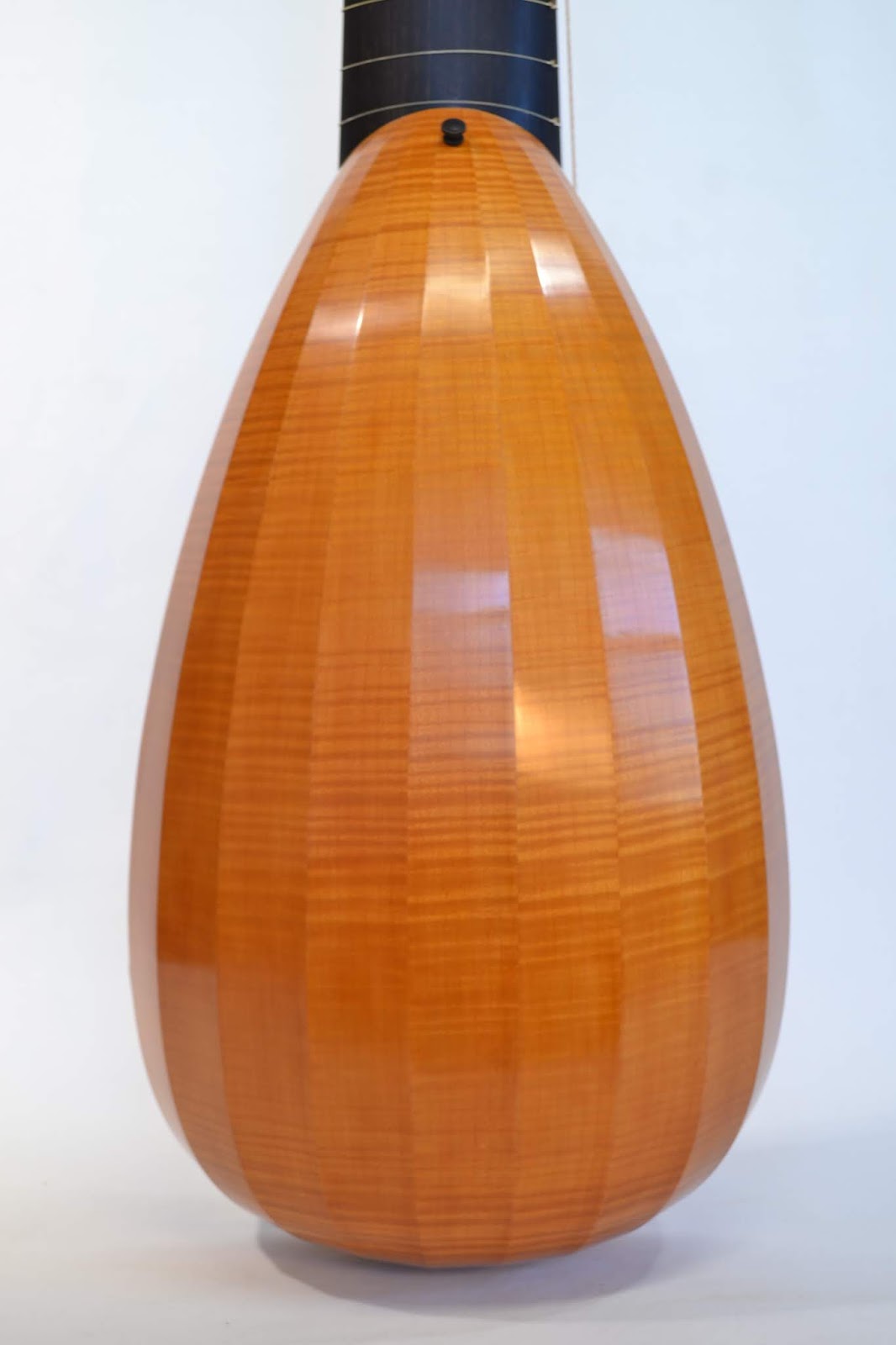 The Lute's Progress,: Designing and Building the Lesser French Theorbo ...