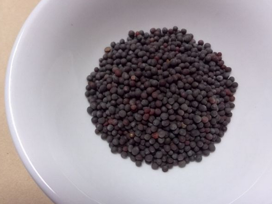 Manfaat Hebat Yang Terkandung dalam Biji Sawi Untuk Kenari - Cara ...