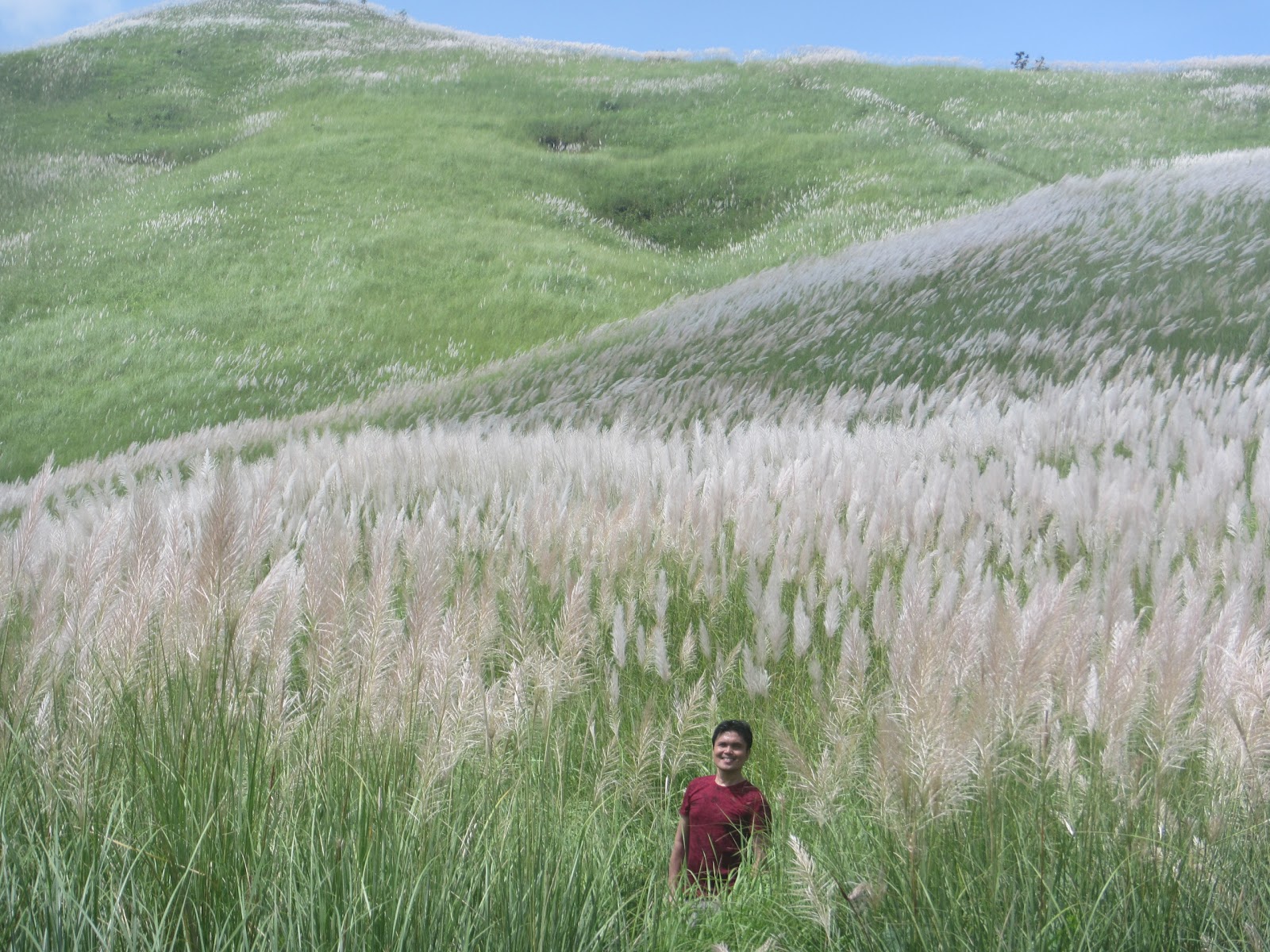 LEXICAL CROWN: CLIMB MOUNT TAGAPO FOR A DAYTRIP AS LOW AS P310