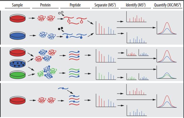 News In Proteomics Research A Biologists Field Guide To Multiplexed