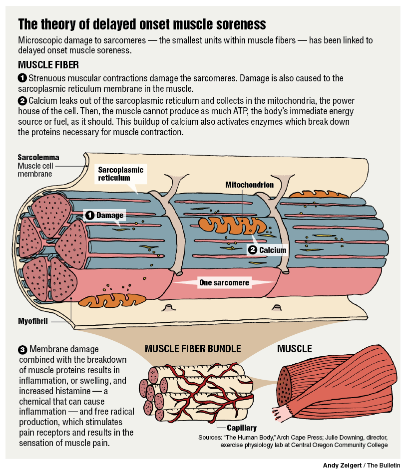 Grace: O "Cindy" DOMS (Lactic Acid Myth Buster)