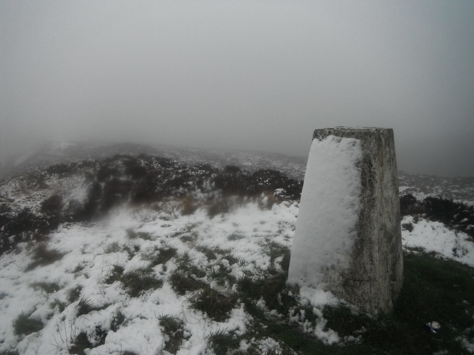 Stephs Blog: Pappert