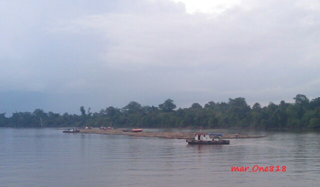Marwan's Gallery: RAKIT KAYU DI SUNGAI BARITO