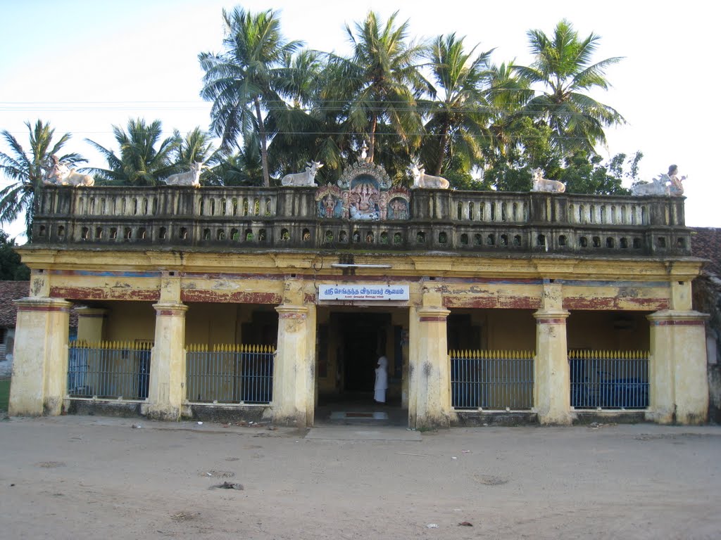 Pondicherry Tourism: Sengunthar Vinayagar Temple ...