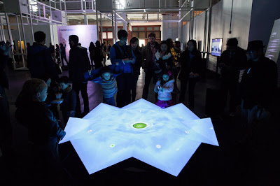 VIRTUAL ILLUSION: 01.2013