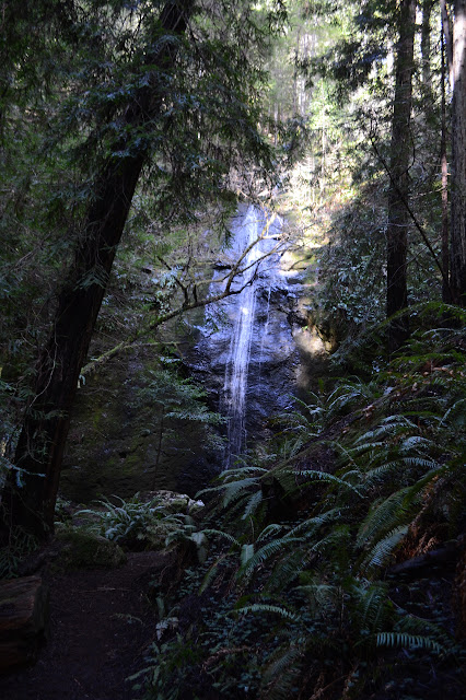 Chamberlain Waterfall Trail