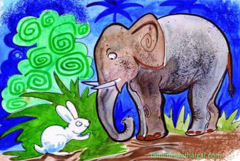 பலசாலி முயல் | The Strongest Rabbit - Tamil Intelligent Story