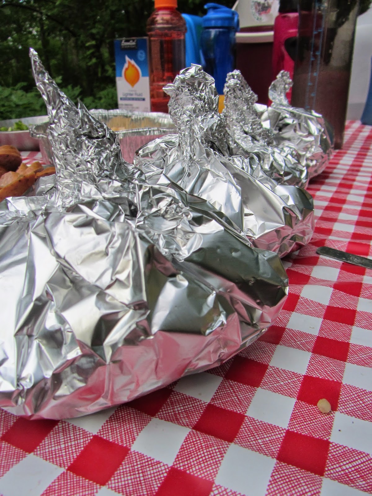 The Unlikely Homeschool: Hobo Packs: Easy Campfire Meal