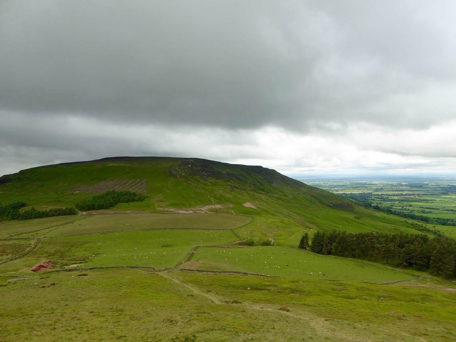 Jimmy Goanna Rides Again: Day 16: Dromonby Bridge to Blakely Ridge