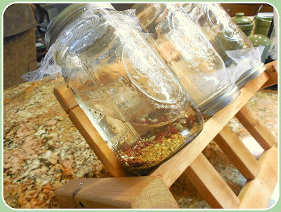 Wit's End Farm: Growing Sprouts at Home!