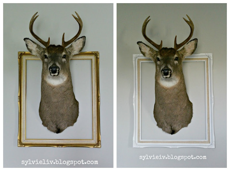 Sylvie Liv: There Is A Buck In My Living Room