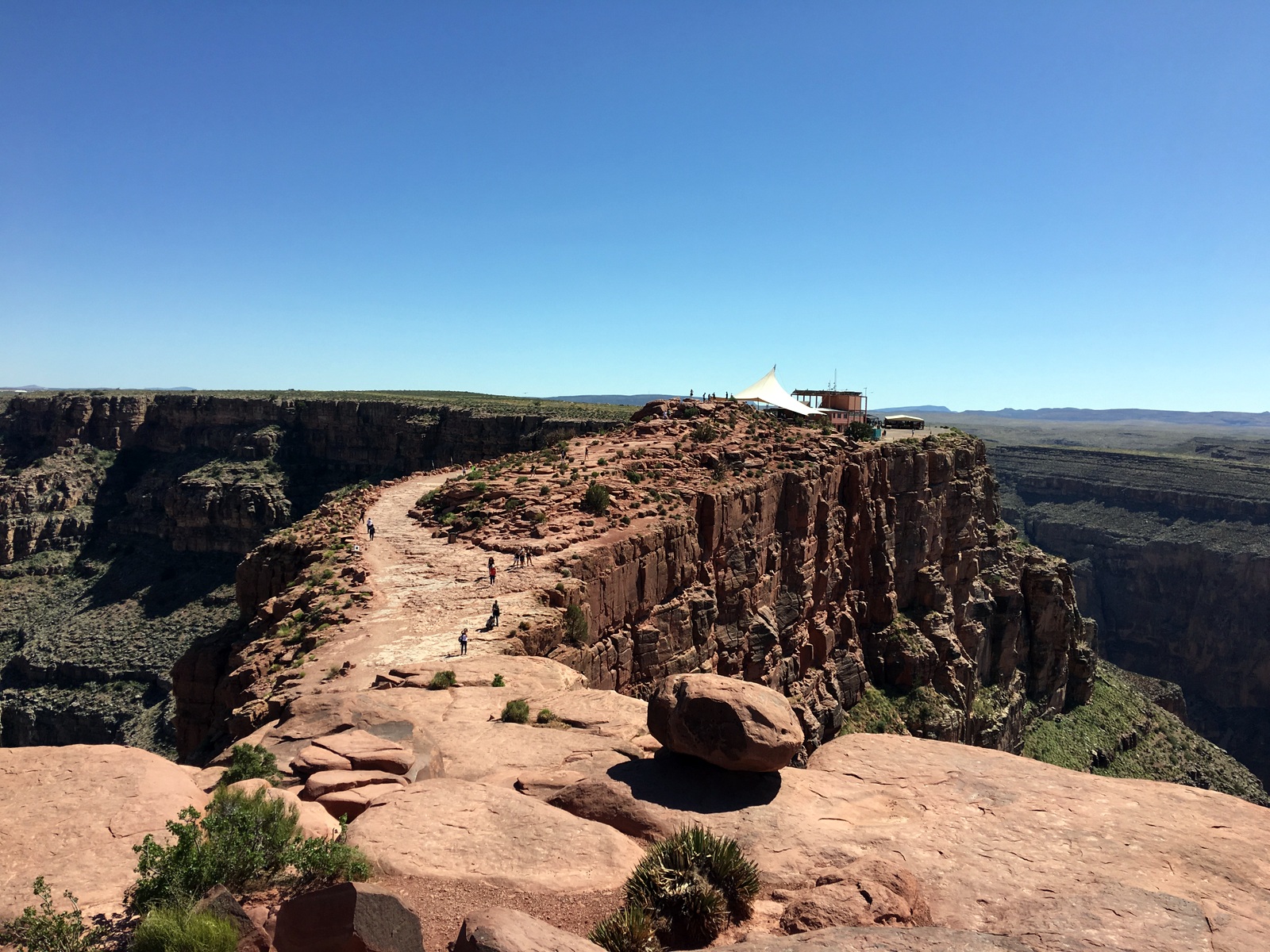 What Am I Doing?: Grand Canyon Skywalk: Guano Point
