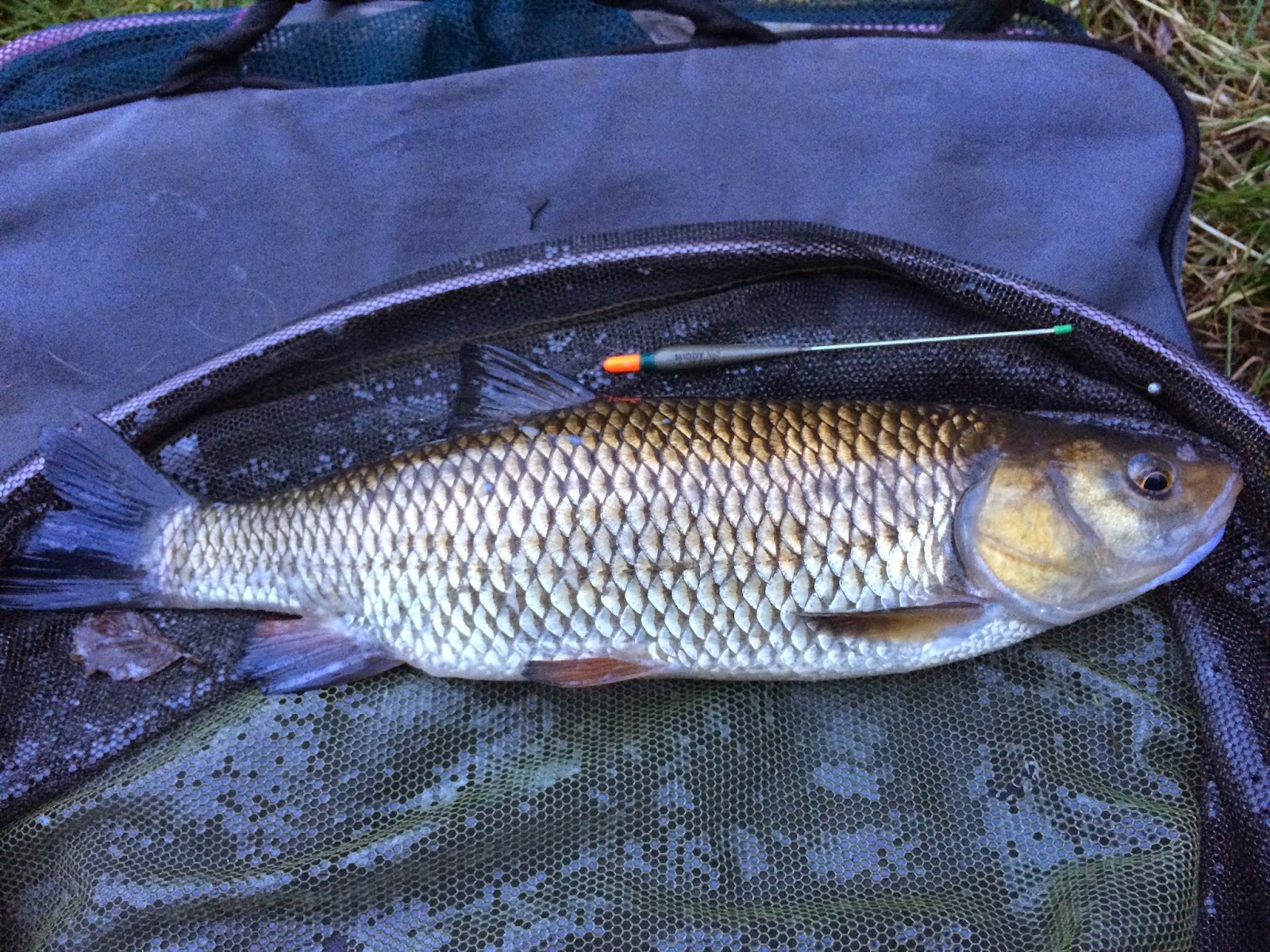 Danny's Angling Blog: River Bollin Roving and Hard Day on the River Dee