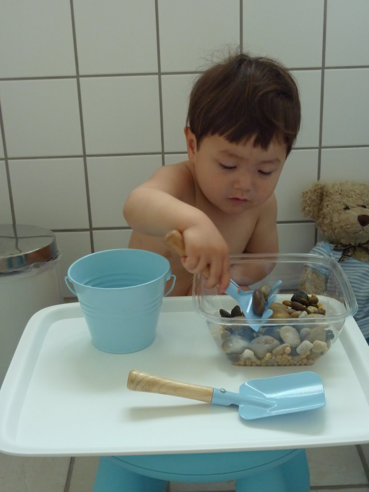 Family FECS: May 2011