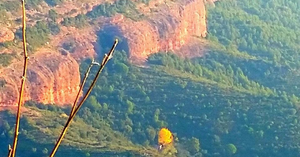 EL BARULLO: ESTA ES MI HISTORIA