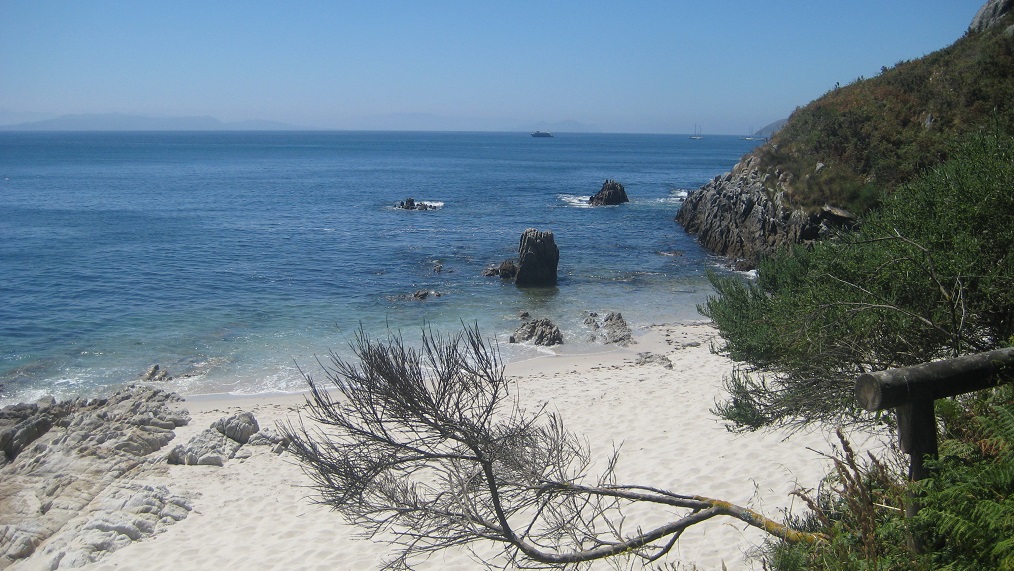 Juan J. Rocha Carro - Blog: "Currunchos de Galicia" de rochacarro: ISLA ...