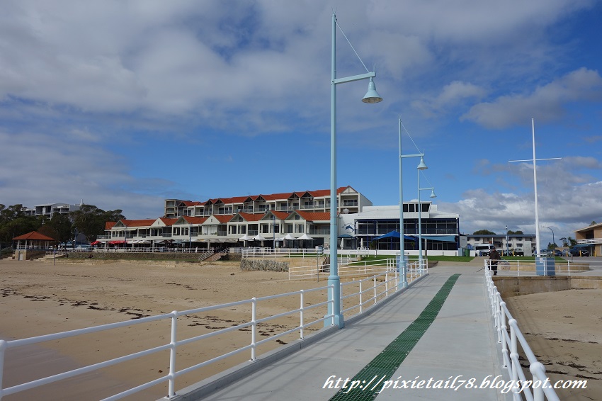 Steel Tree @ The Foreshore - Perth, Western Australia