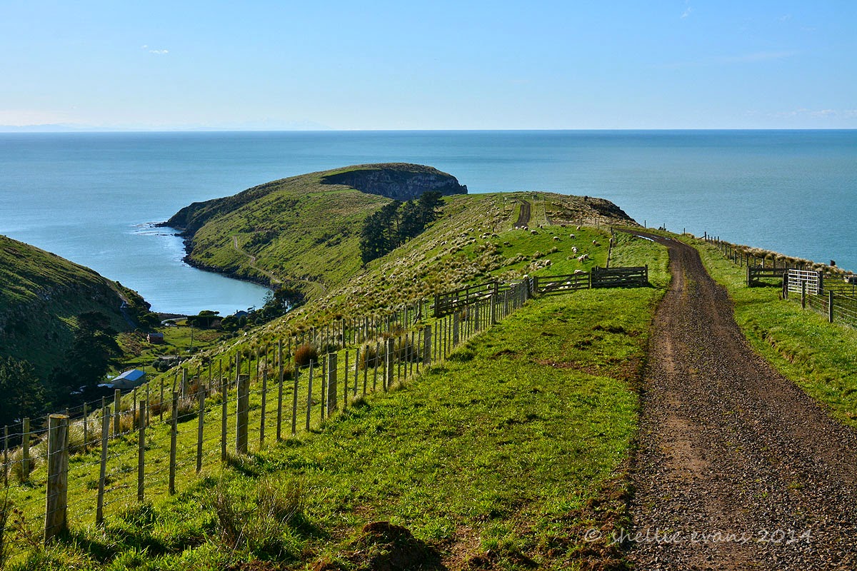 Two Go Tiki Touring: Around the Bays- Pigeon Bay